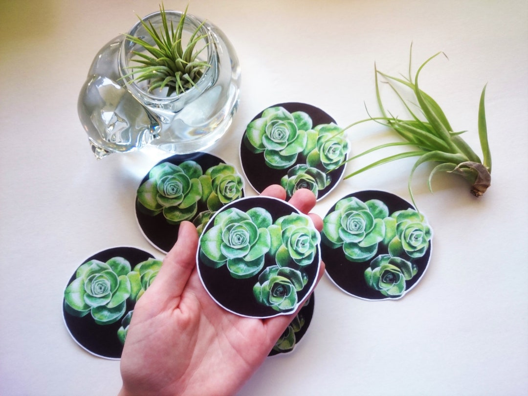 Succulent Stickers, Paper Stickers, Laptop Stickers, Die Cut Stickers ...