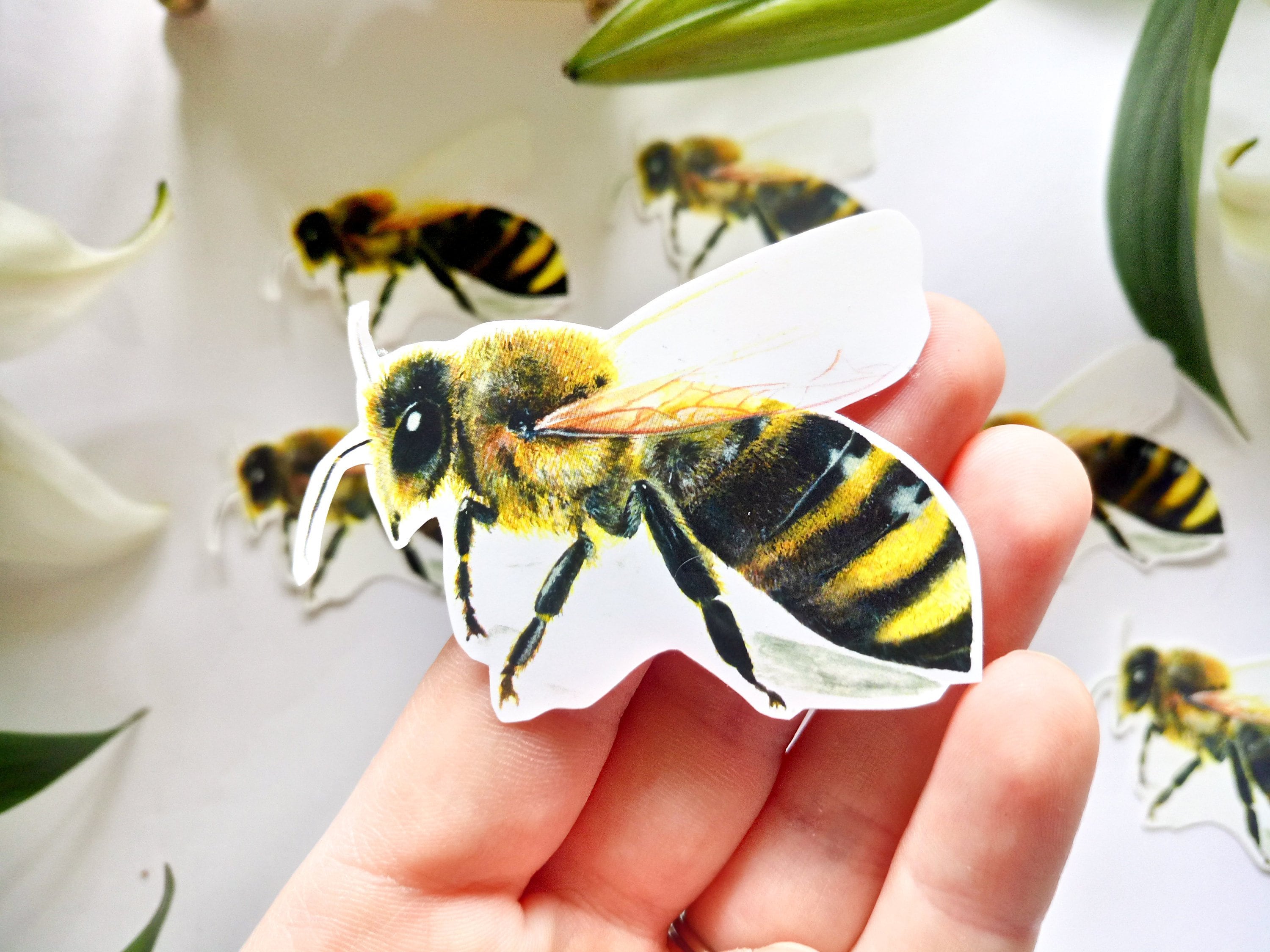 Die Cut Vinyl Bee Sticker Save The Bees Sticker Vinyl Laptop | Etsy