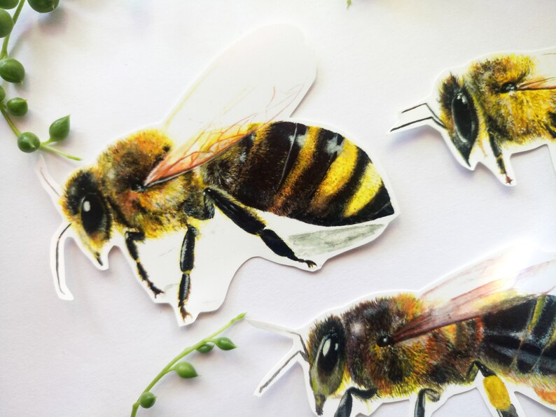 Die Cut Vinyl Bee Sticker Save the Bees Sticker Vinyl Laptop | Etsy