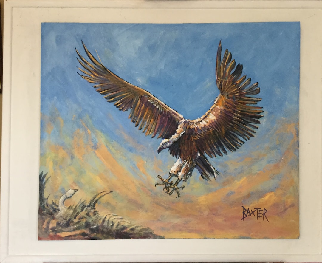 No Print; African Animal Painting of a Vulture in Flight by Barry ...