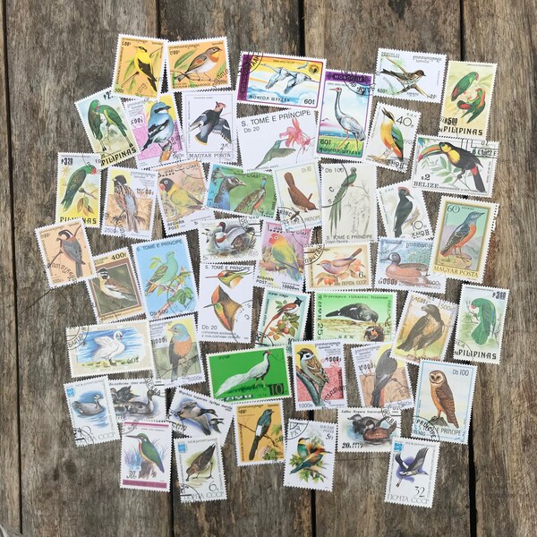 Vintage Bird Stamps - Etsy