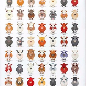 Cattle Breeds Print Ultimate Cow Poster Cattle of the | Etsy UK