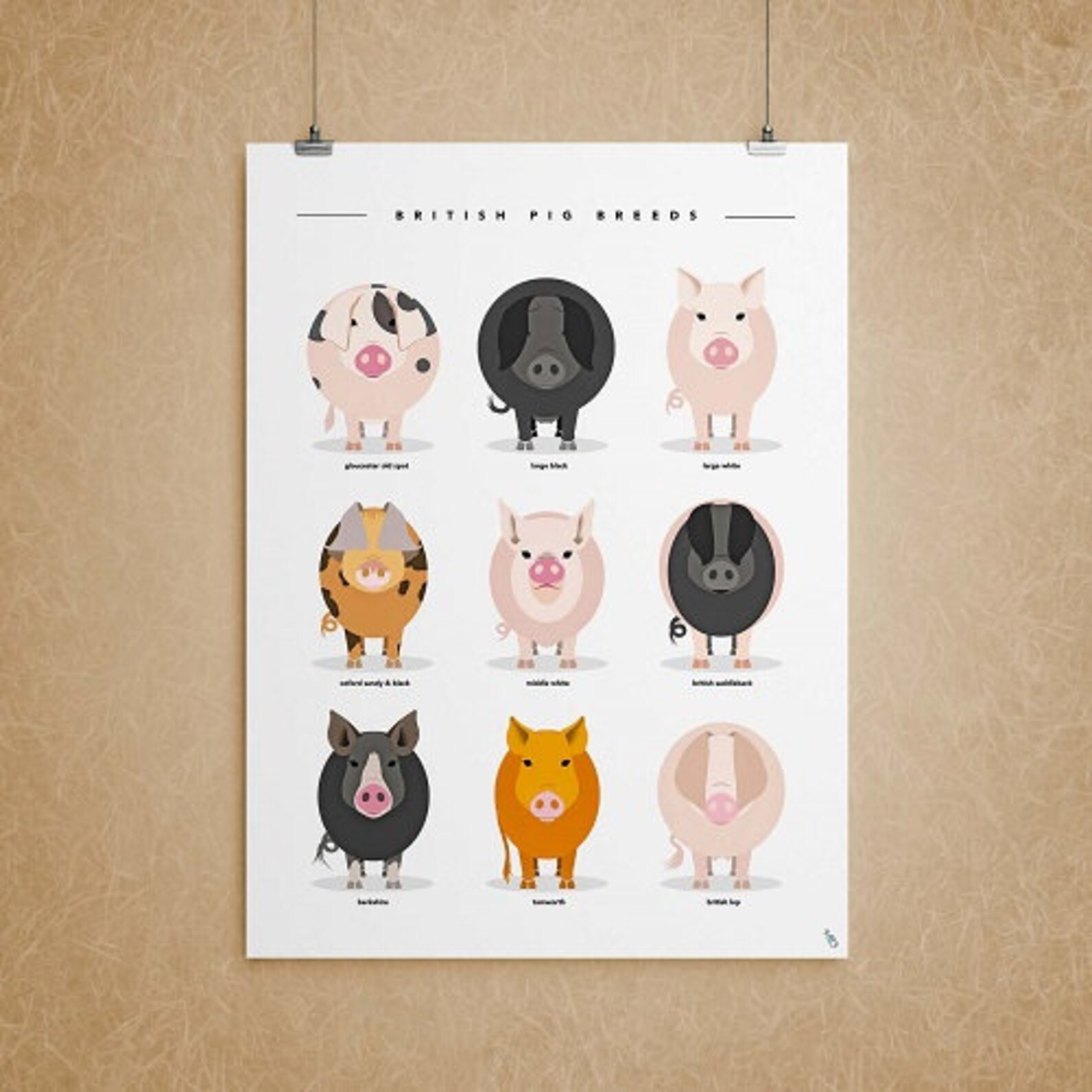 British Pig Breeds Print Pig Print Pig Breeds Poster Pig - Etsy