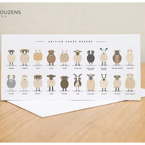 Farm Animal Greeting Cards Pack of 5 Cards Farm Animal | Etsy