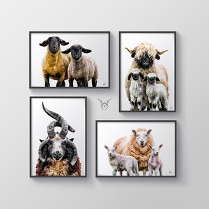 Suffolk Sheep Painting Suffolk Sheep Art Print Sheep Print - Etsy UK
