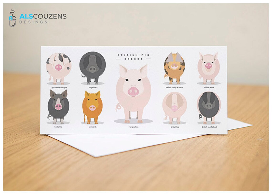 Farm Animal Greeting Cards Pack of 5 Cards Farm Animal | Etsy UK