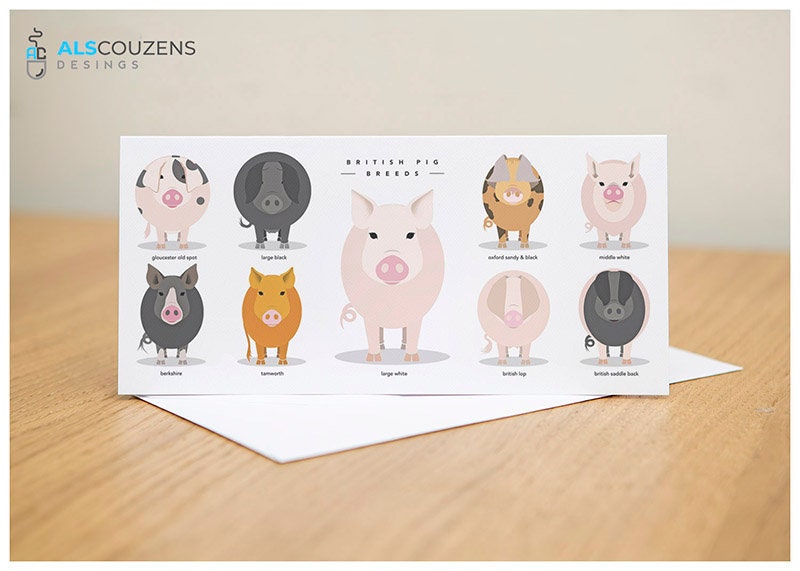 Farm Animal Greeting Cards Pack of 5 Cards Farm Animal | Etsy UK