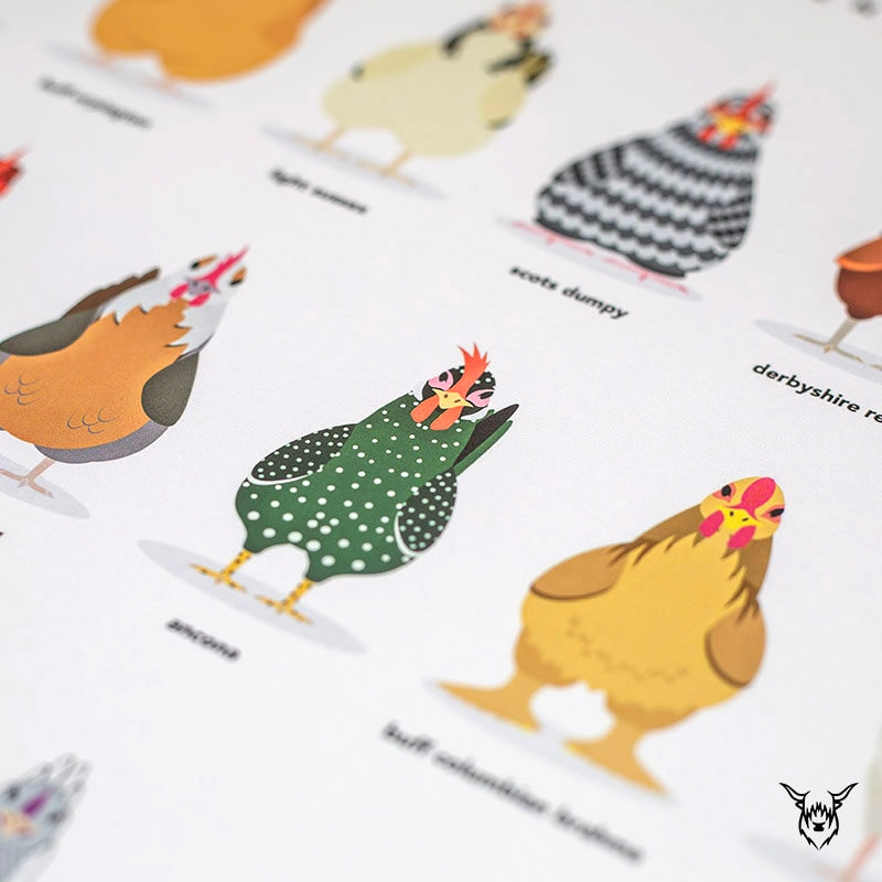 British Chicken Breeds Print Chicken Art Chicken Poster - Etsy UK