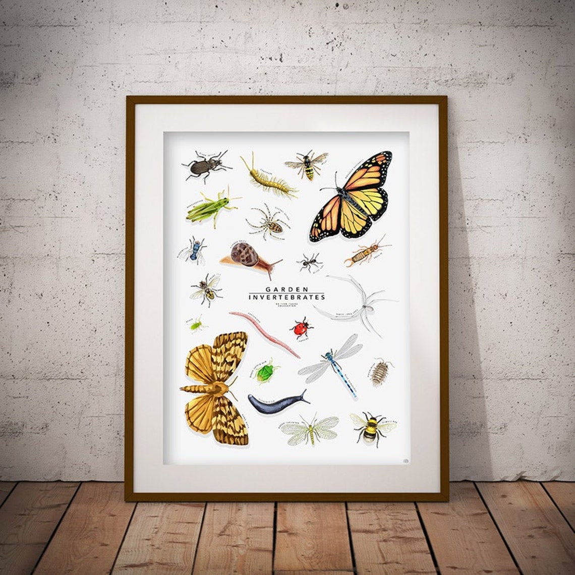 British Garden Insect Art Insect Print Insect Poster - Etsy UK