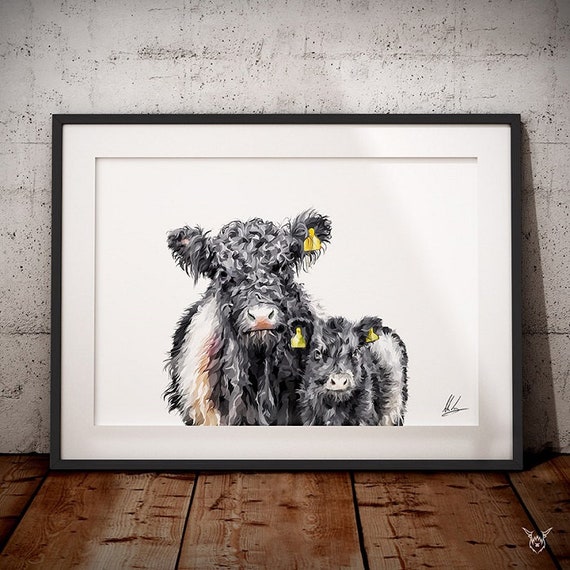 Belted Galloway Cow Art Beltie Cow Oreo Cow Cow Gifts | Etsy