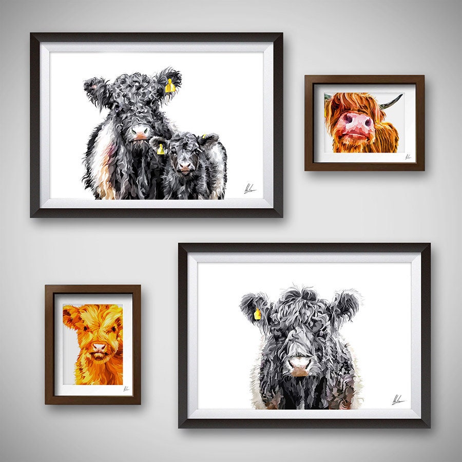 Belted Galloway Cow Art Beltie Cow Oreo Cow Cow Gifts - Etsy