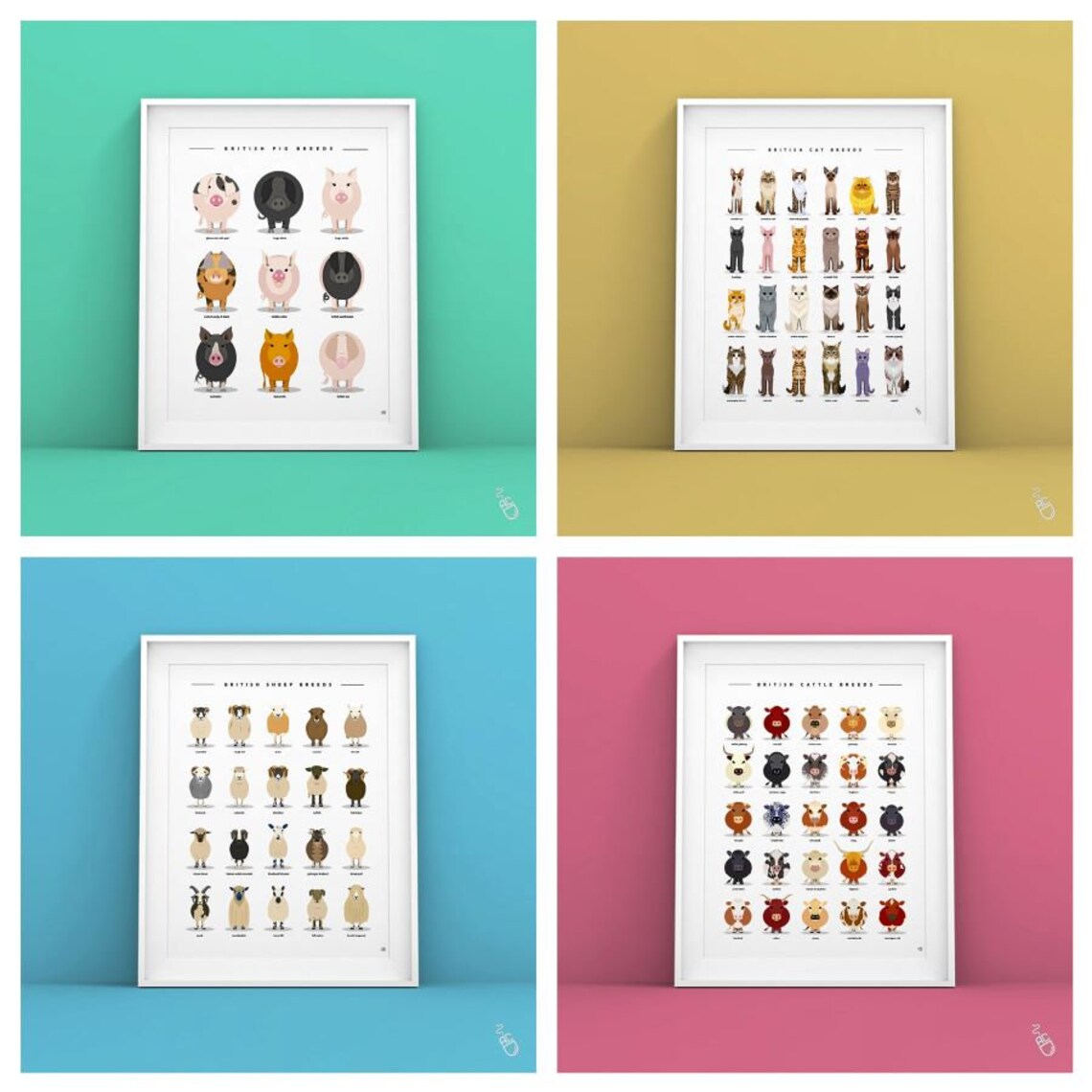 British Pig Breeds Print Pig Print Pig Breeds Poster Pig - Etsy