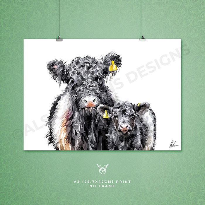 Belted Galloway - Cow Art - Beltie Cow - Oreo Cow - Cow Gifts - Farm ...