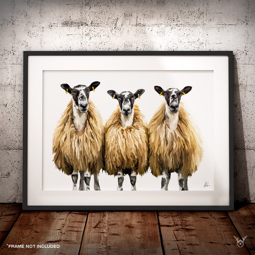 Scotch Mules Sheep Painting - Mules Sheep Art Print - Trio Sheep Print ...