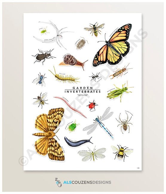 British Garden Insect Art Insect Print Insect Poster - Etsy UK