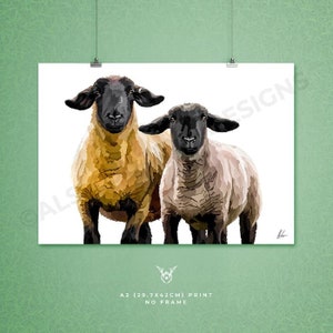 Suffolk Sheep Painting - Suffolk Sheep Art Print - Sheep Print ...