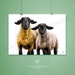Suffolk Sheep Painting - Suffolk Sheep Art Print - Sheep Print - Sheep ...