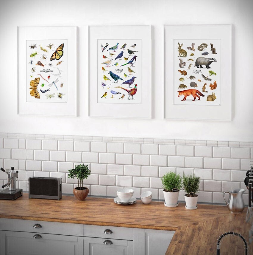 British Garden Insect Art Insect Print Insect Poster - Etsy UK