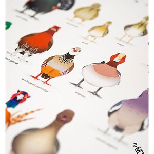 British Gamebirds Art Print Game Birds Print Gamebirds - Etsy UK