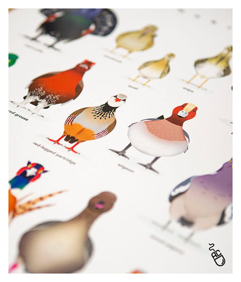 British Gamebirds Art Print Game Birds Print Gamebirds - Etsy UK