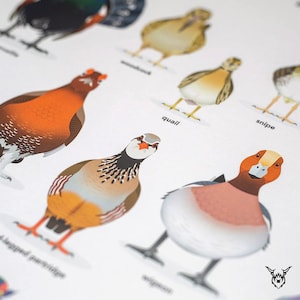 British Gamebirds Art Print - Game Birds Print - Gamebirds Poster ...