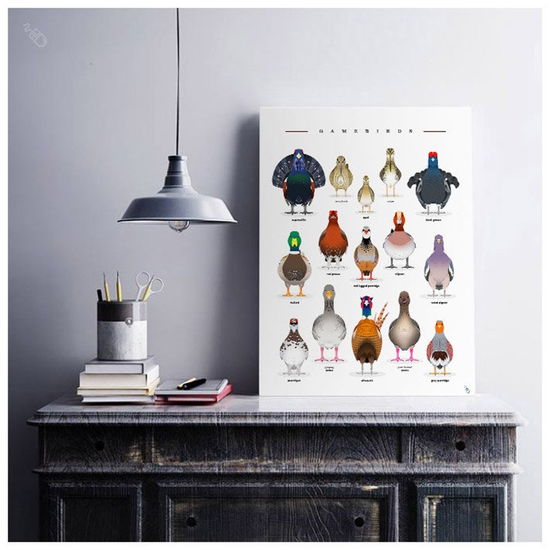 British Gamebirds Art Print Game Birds Print Gamebirds - Etsy UK