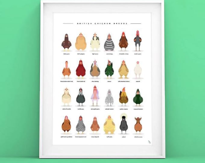 A-Z of Chickens Poster, Chicken Print, Chicken Breeds Art, Alphabet ...