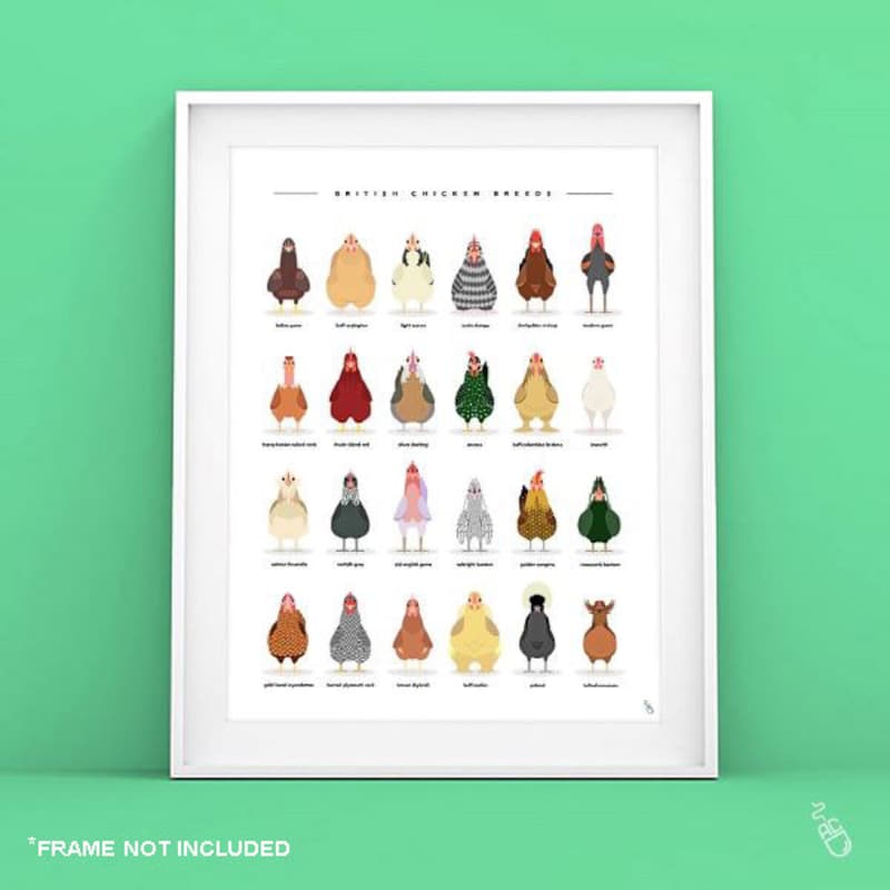 Chicken Print - Etsy