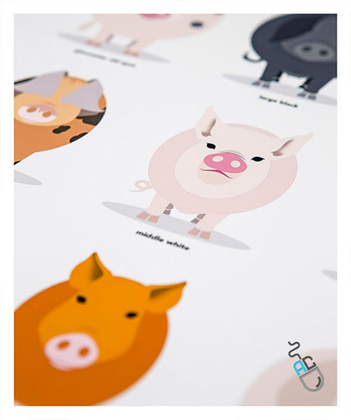 British Pig Breeds Print Pig Print Pig Breeds Poster Pig - Etsy