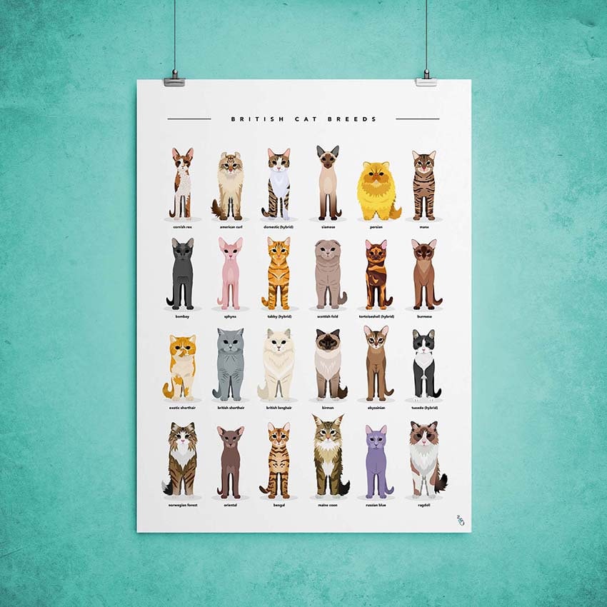 Cat Breed Poster