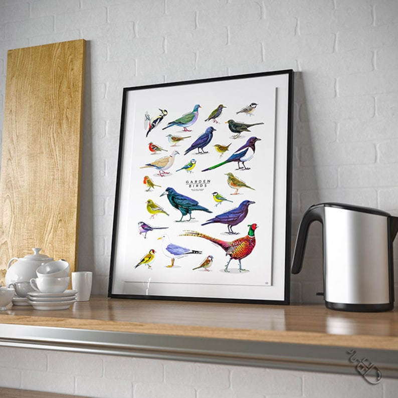 British Birds Print British Wildlife Bird Poster Bird | Etsy