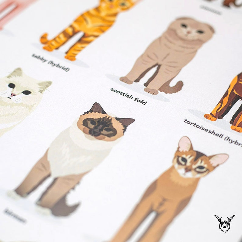 Cat Breeds Art Print Cat Types Print Cats Print Cat - Etsy
