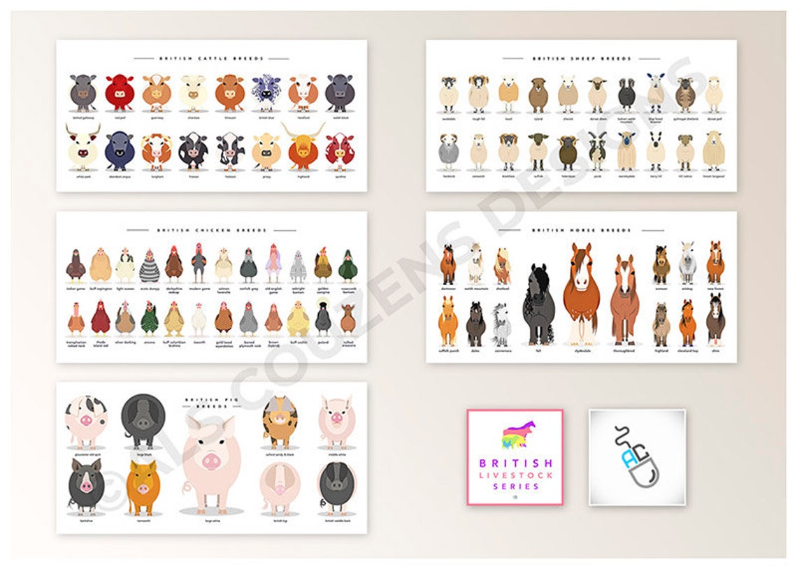 Farm Animal Greeting Cards Pack of 5 Cards Farm Animal | Etsy UK