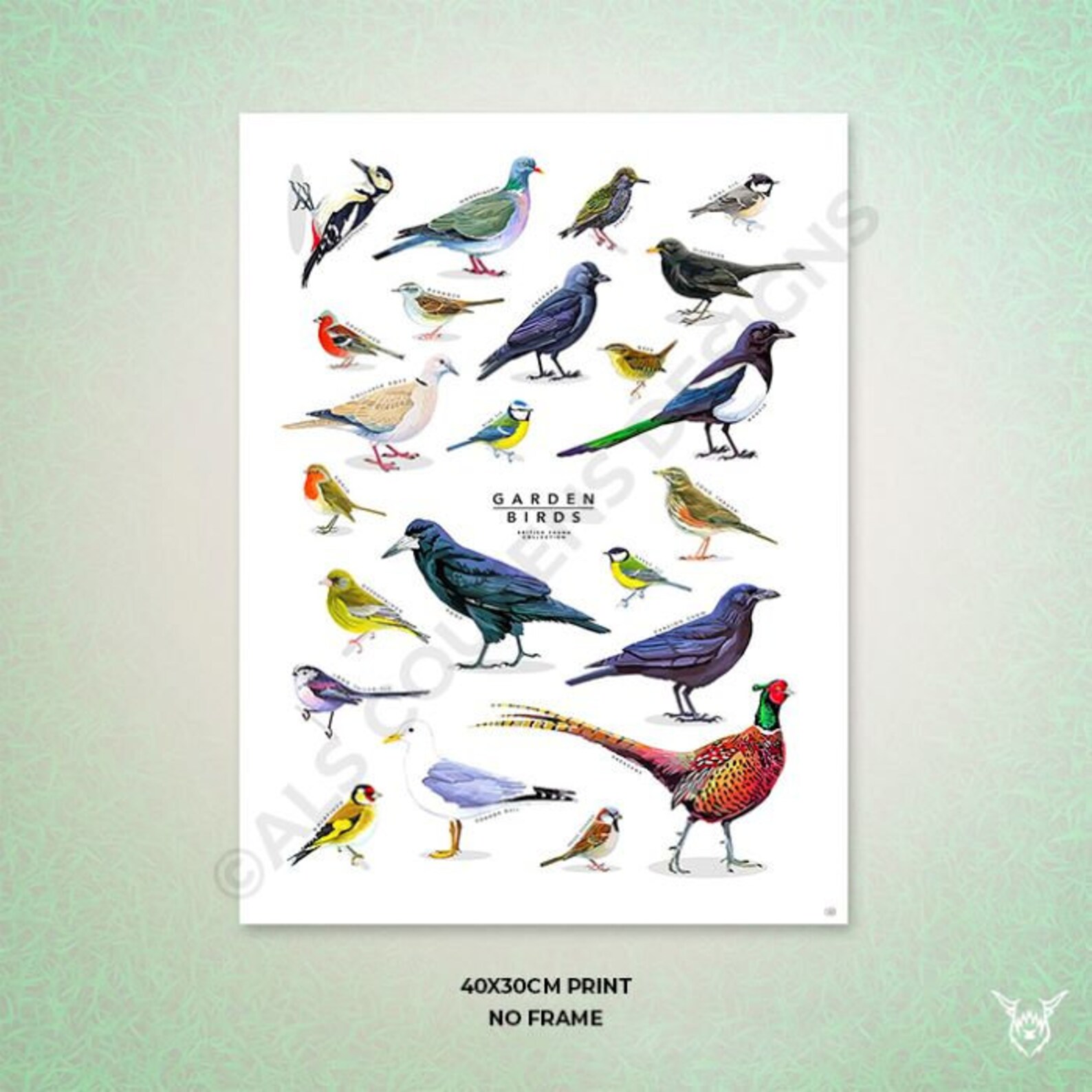 British Birds Print British Wildlife Bird Poster Bird Print Wildlife ...