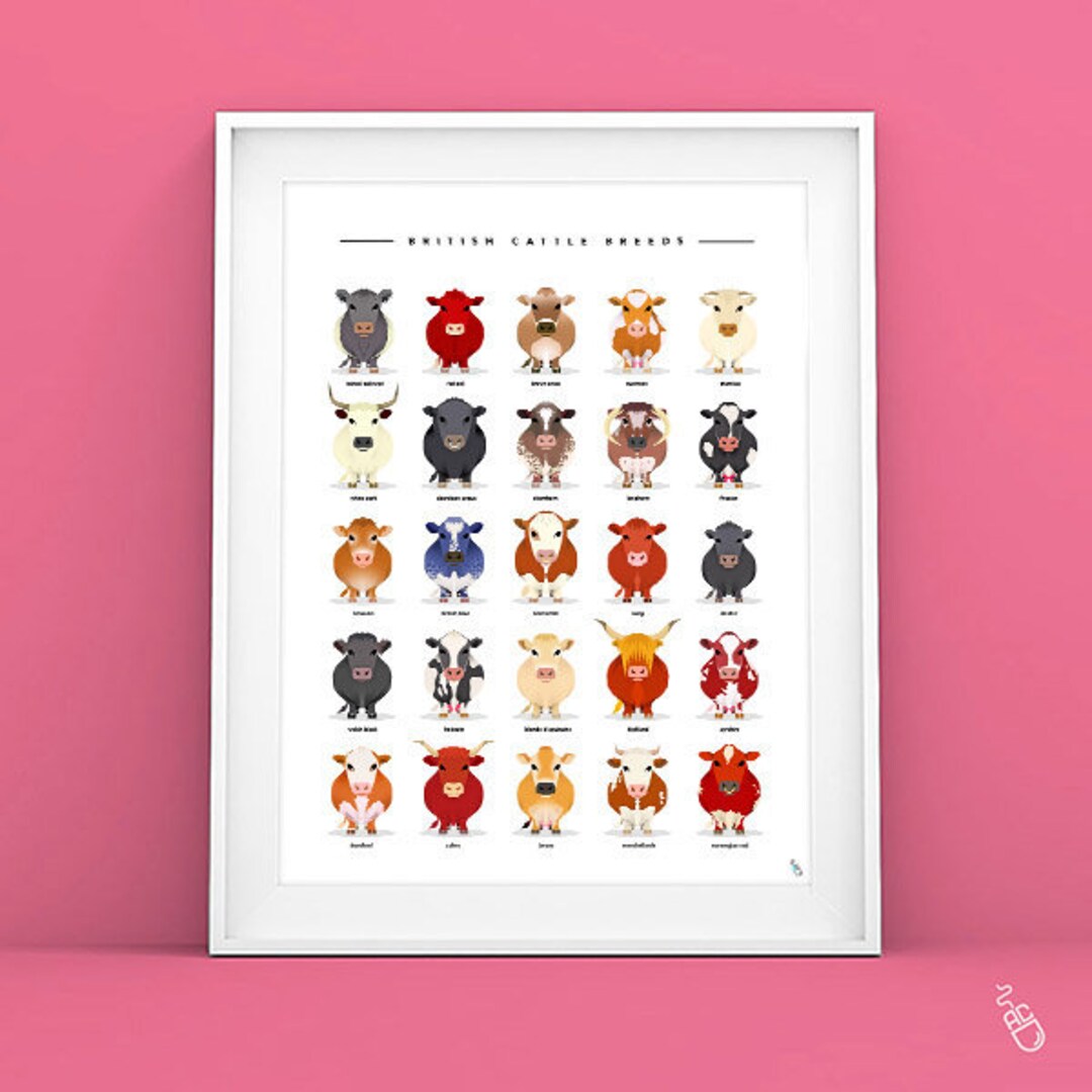 Cow Breeds Print Cattle Breeds Poster British Cow Breeds - Etsy
