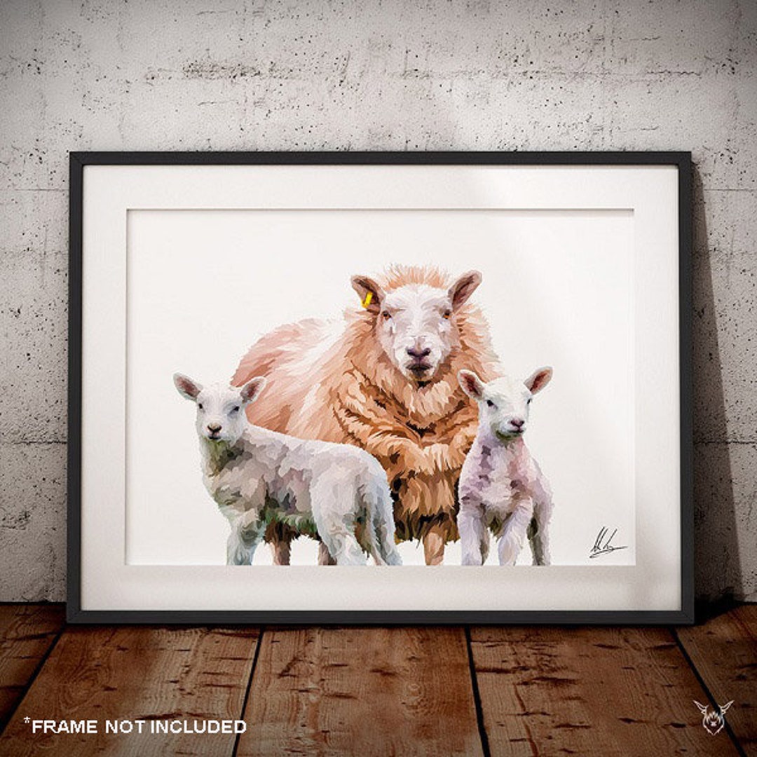 Sheep Art Print - Sheep Painting - Sheep Print - Texel - Cheviot ...