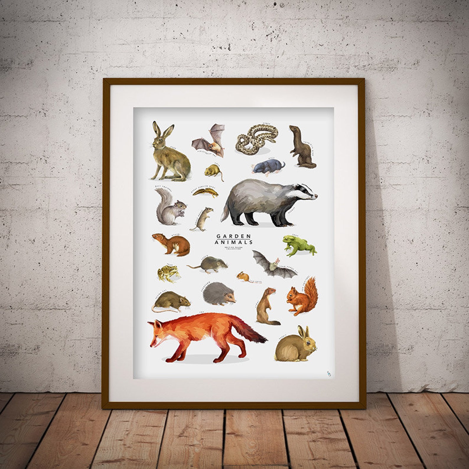 Trio of prints 3for2 Offer Wildlife prints Trio art | Etsy