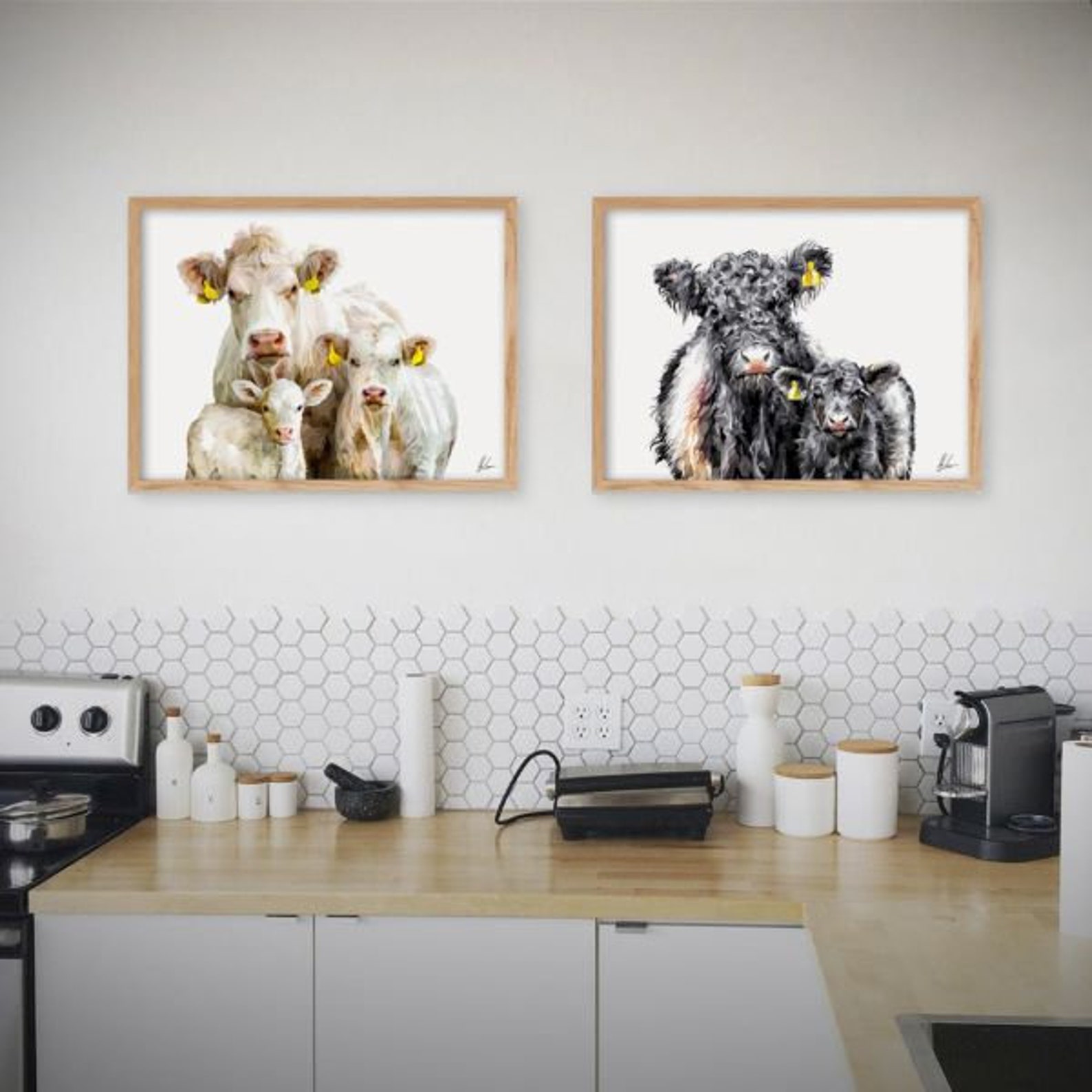 Belted Galloway - Cow Art - Beltie Cow - Oreo Cow - Cow Gifts - Farm ...