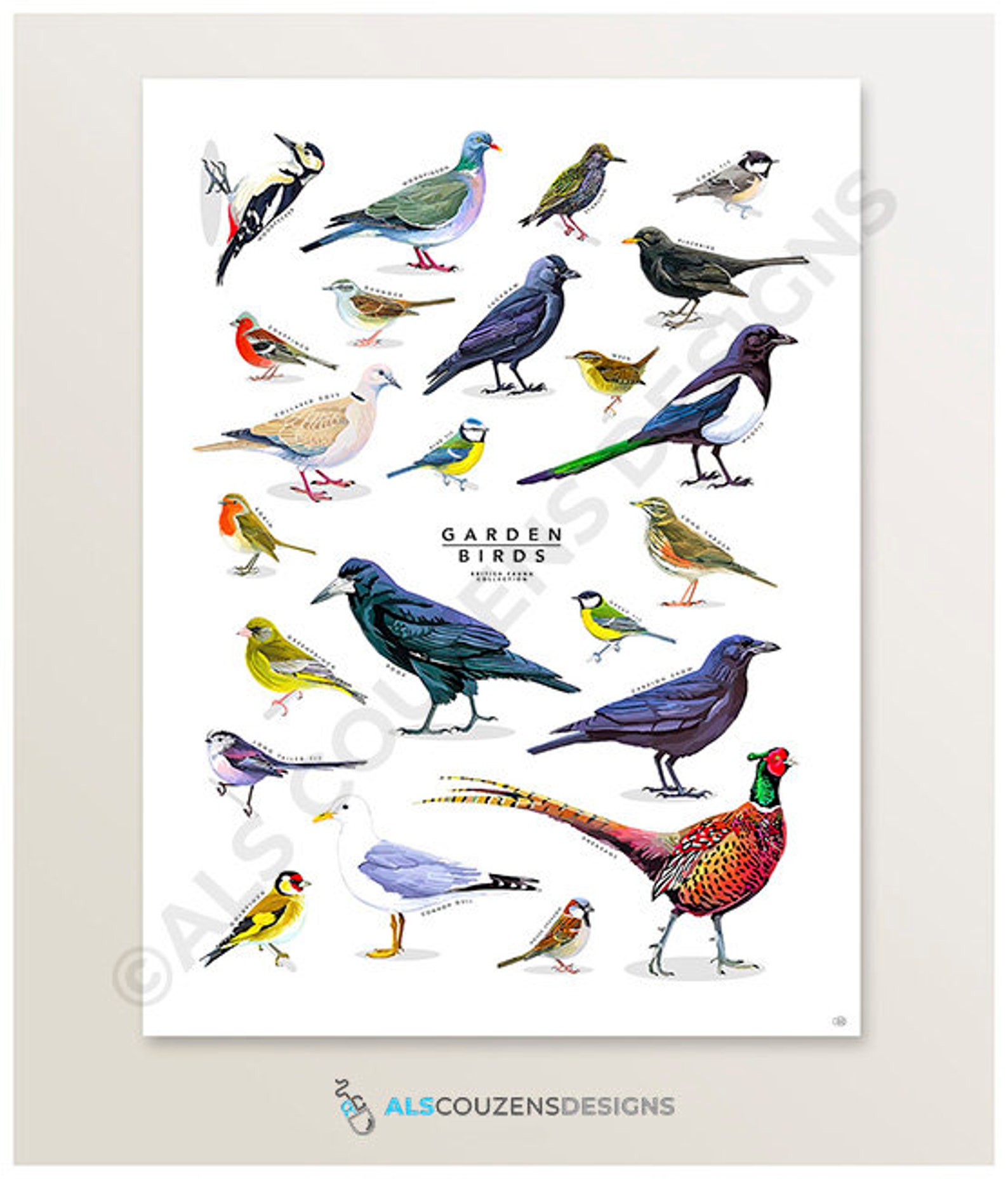 British Birds Print British Wildlife Bird Poster Bird - Etsy