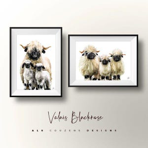 Valais Blacknose Sheep Painting - Valais Blacknose Sheep Art Print ...