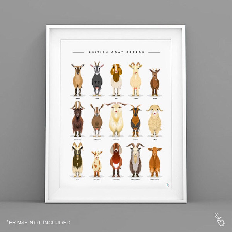 Goat Poster - Etsy