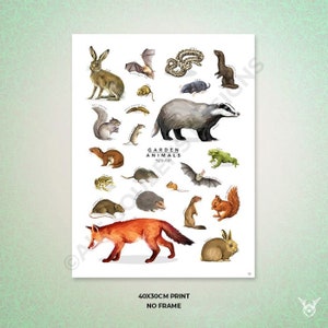 British Wildlife Print Animal Art Wildlife Print Nature Art Garden ...