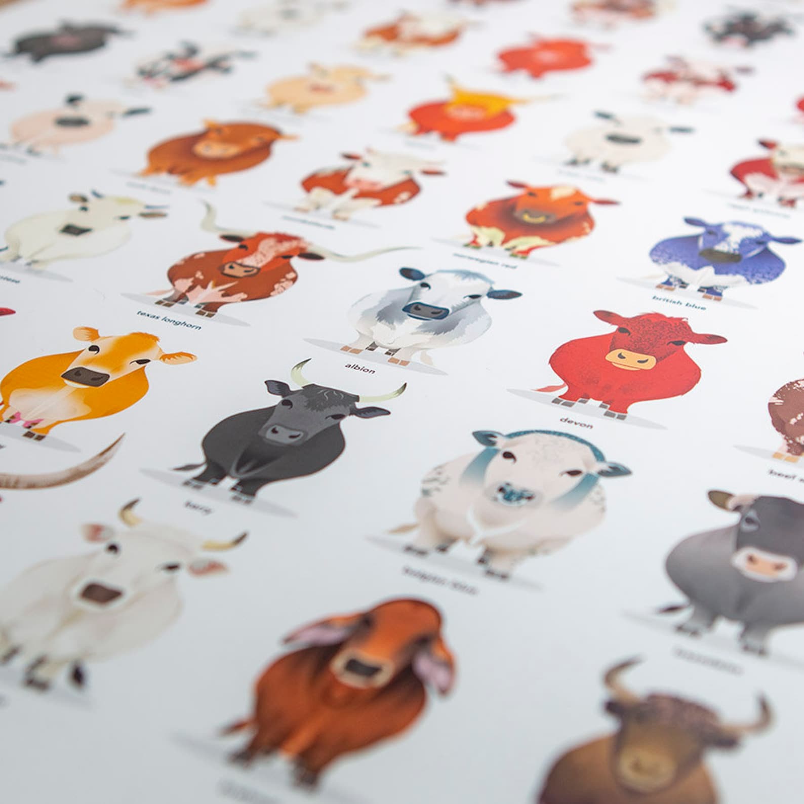 Cattle Breeds Print Ultimate Cow Poster Cattle of the - Etsy