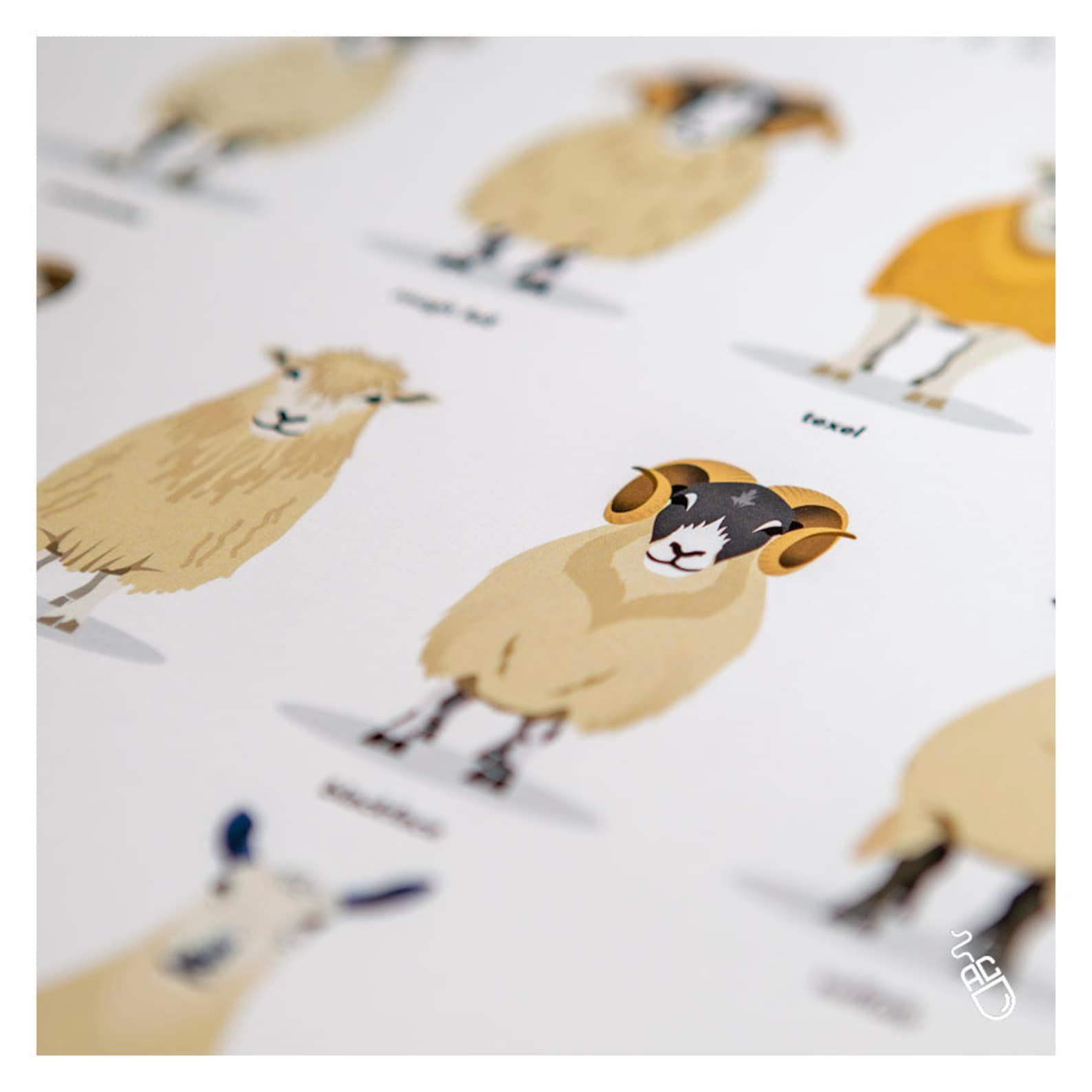 British Sheep Breeds Print Sheep Print Sheep Breeds Poster - Etsy