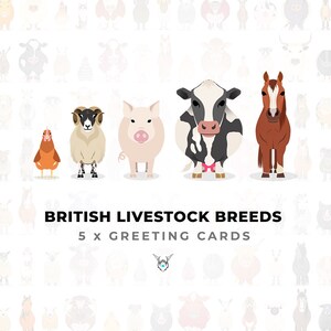 Farm Animal Greeting Cards Pack of 5 Cards Farm Animal - Etsy