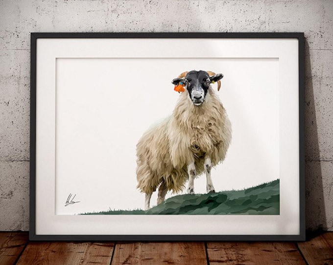 British Sheep Breeds Sheep Art Print Poster Sheep Gifts Farm Animals Prints Sheep Types Print A4 ...