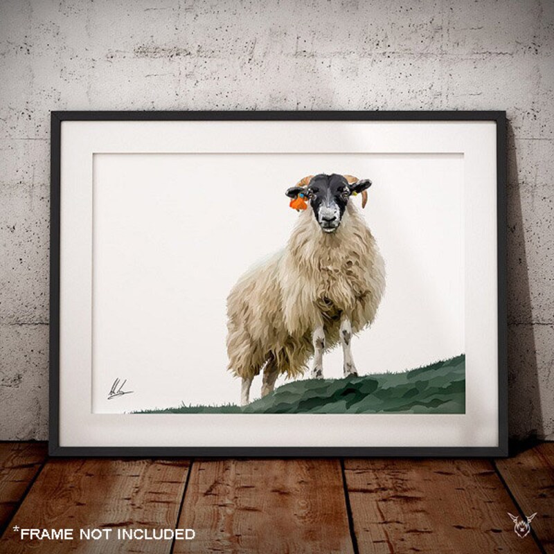 Sheep Picture - Etsy