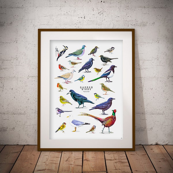British Birds Poster - Etsy UK