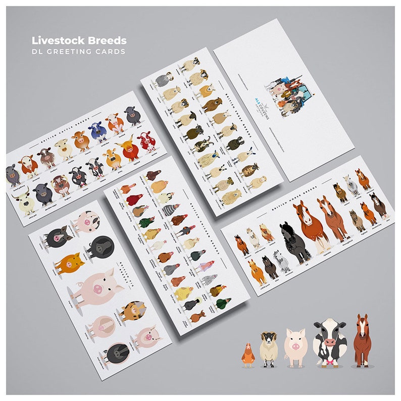 Farm Animal Greeting Cards Pack of 5 Cards Farm Animal - Etsy