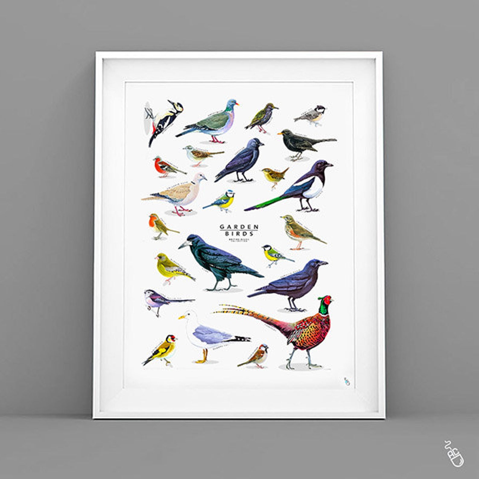 British Birds Print British Wildlife Bird Poster Bird Print Wildlife ...